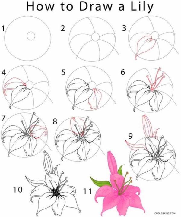 How To Draw A Flower Step By Step Image Guides How To Draw A Flower Step By Step Image Guides