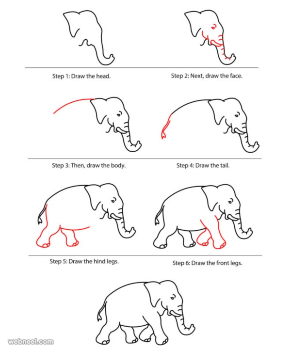 How To Draw Easy Animals Step By Step Image Guide How To Draw Easy Animals Step By Step Image Guide