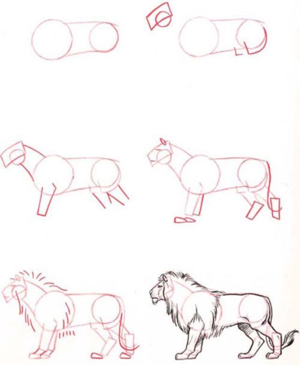 How To Draw Easy Animals Step By Step Image Guide