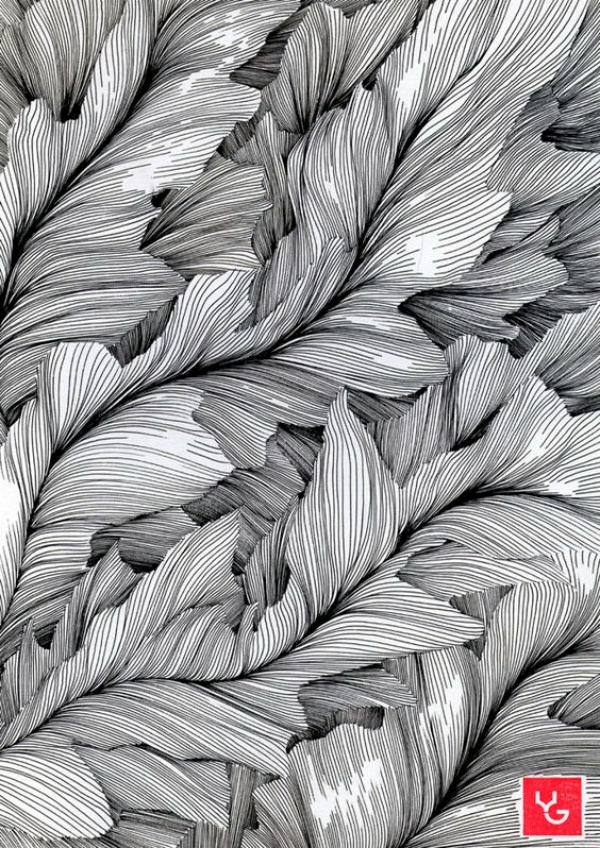 Introducing Line Art Examples IMAGESEE