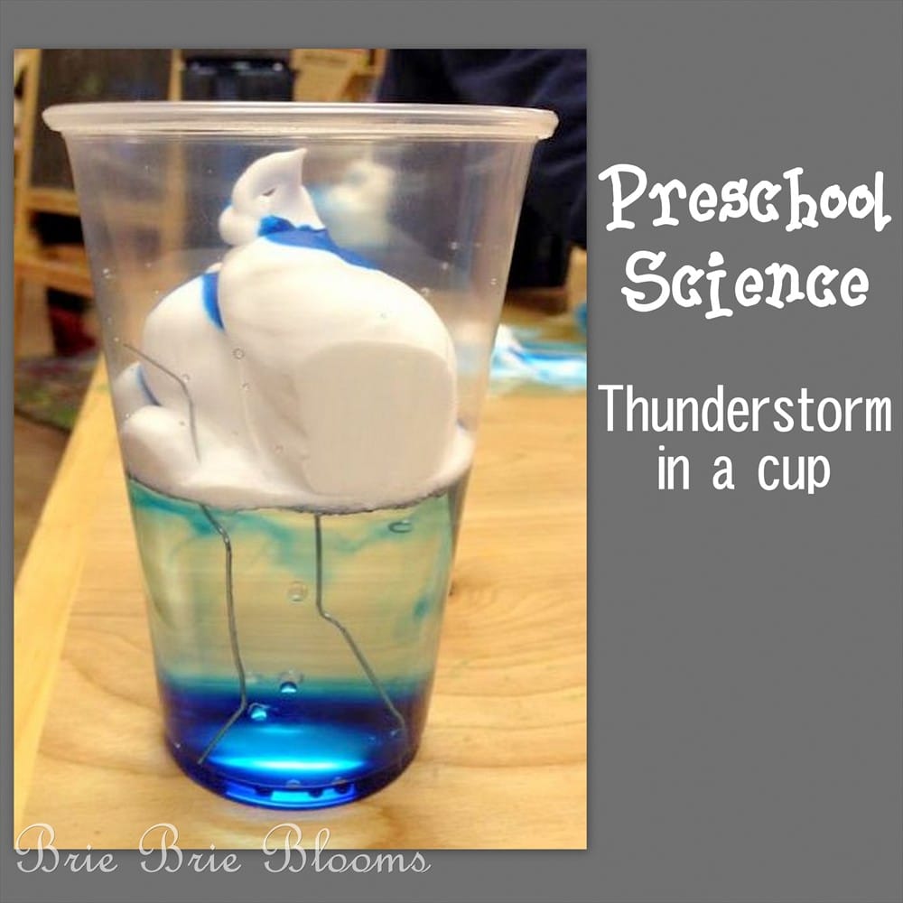 20 Science Activities For Preschoolers 20 Science Activities For Preschoolers