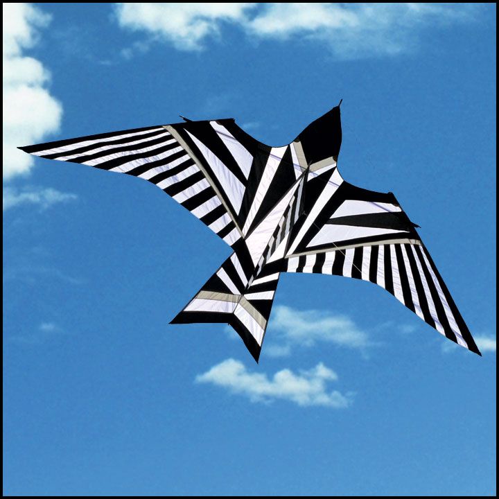 The Art Of Creating Kites And Flying Them Bored Art
