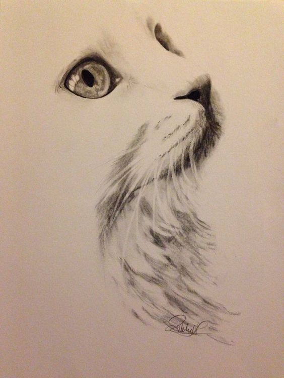 Charcoal Pencil Sketch - A Guide to Creating Powerful Art Charcoal Pencil Sketch - A Guide to Creating Powerful Art
