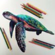 40 Color Pencil Drawings To Having You Cooing With Joy – Bored Art