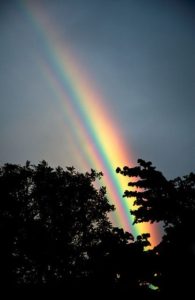 Ravishing Rainbow Photography For That Rare And Picturesque Look ...