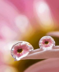 Wonderful And Gorgeous Water Drop Art – Bored Art