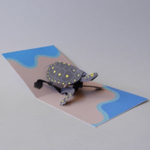 40 Creative Pop-up Card Designs For Every Occasion – Bored Art