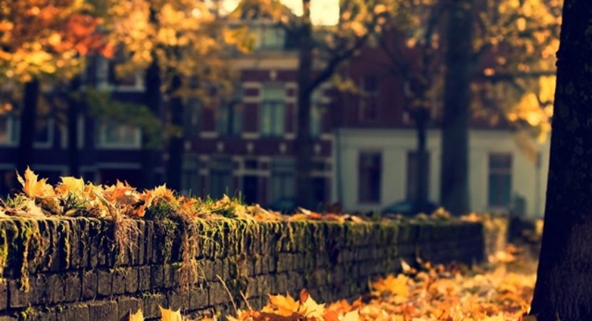 40 Magical Fall Photography Ideas To Try This Year - Bored Art