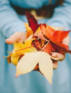 40 Magical Fall Photography Ideas To Try This Year – Bored Art