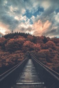 40 Magical Fall Photography Ideas To Try This Year – Bored Art