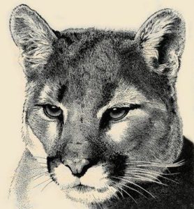 Simple Yet Intense Stipple Art To Help You See The Details – Bored Art