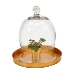 Brilliant, Bright And Beautiful Bell Jar Ideas – Bored Art