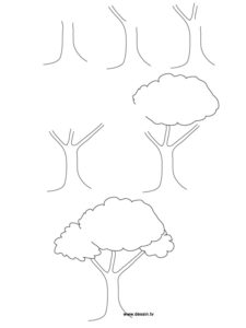 How To Draw A Tree (Step By Step Image Guides)