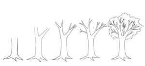 How To Draw A Tree (Step By Step Image Guides)