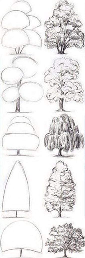 How To Draw A Tree (Step By Step Image Guides)
