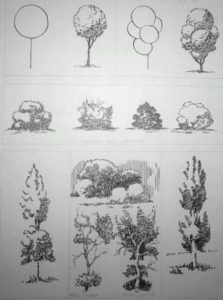 How To Draw A Tree (Step By Step Image Guides)