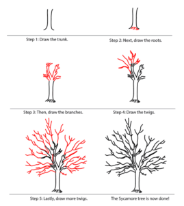 How To Draw A Tree (Step By Step Image Guides)