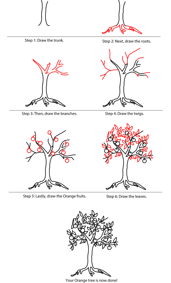 How To Draw A Tree Step By Step Image Guides 