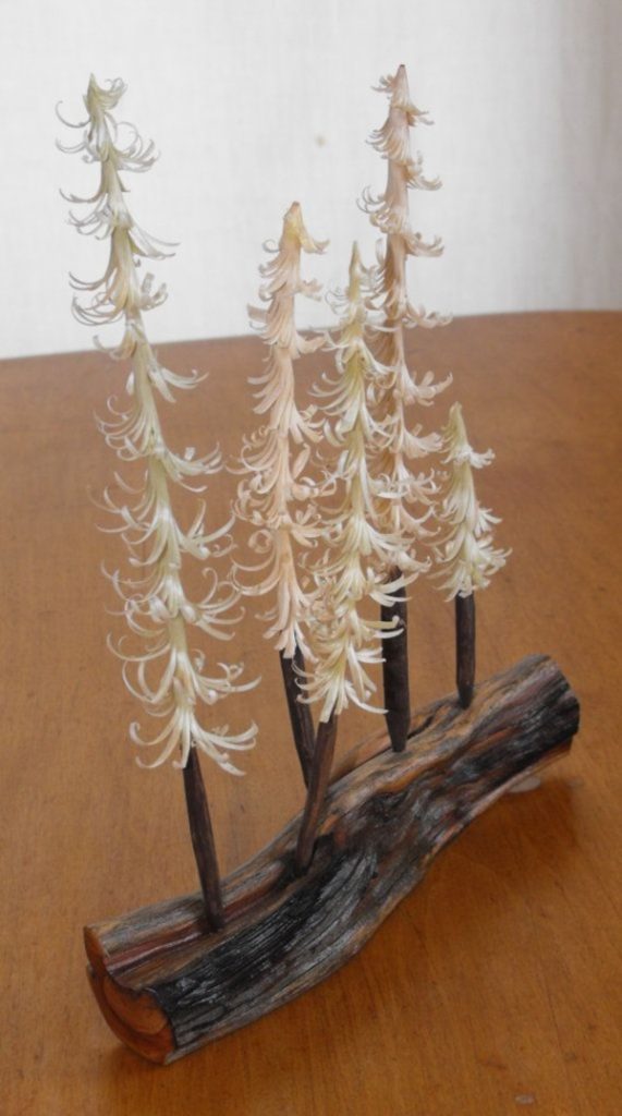 30 Creative Wood Whittling Projects and Ideas