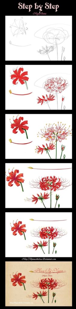 How To Draw A Flower (Step By Step Image Guides)