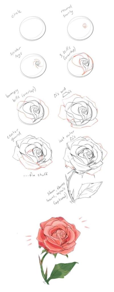 How To Draw A Flower (Step By Step Image Guides)