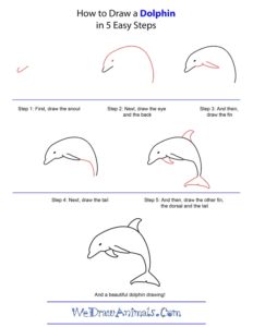 How To Draw Easy Animals Step By Step Image Guide