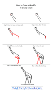 How To Draw Easy Animals Step By Step Image Guide