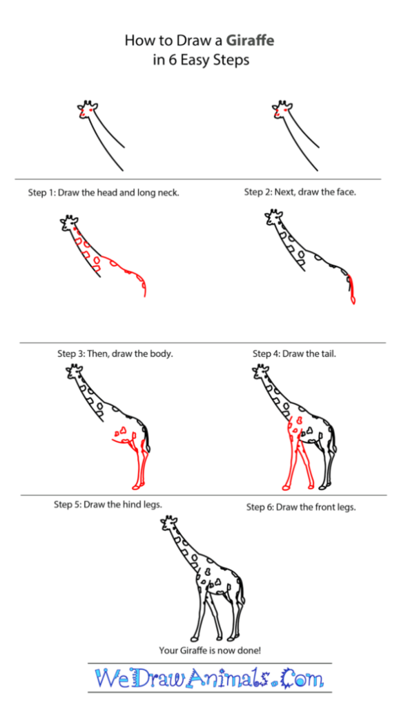 How To Draw Easy Animals Step By Step Image Guide