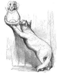 40 Simple Cat drawing Examples anyone Can Try