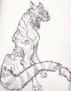 40 Simple Cat drawing Examples anyone Can Try