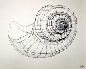 80 Best Examples Of Line Drawing Art