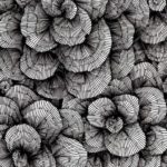 80 Best Examples Of Line Drawing Art