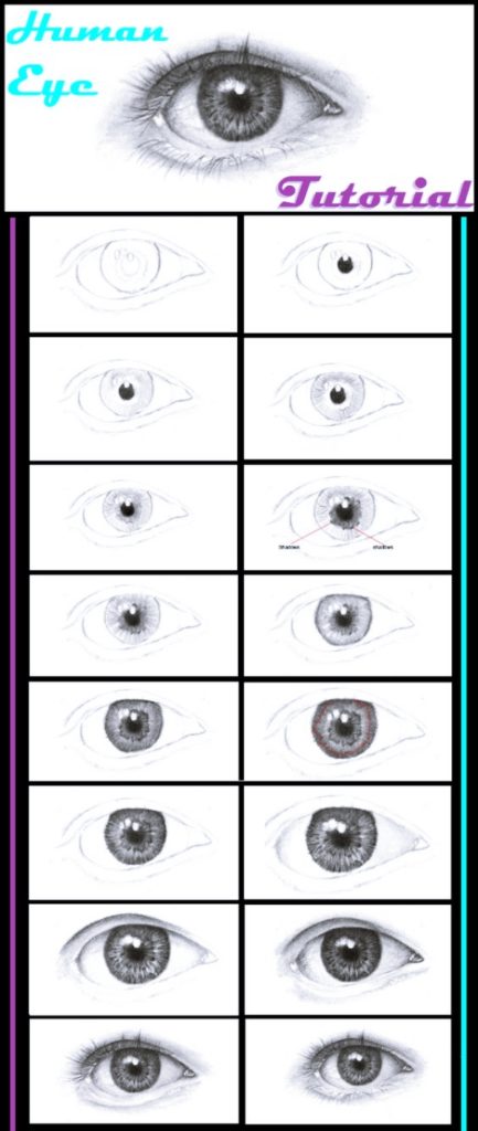 40 Practically Useful Drawing Cheat Sheets to Improve your Skills ...