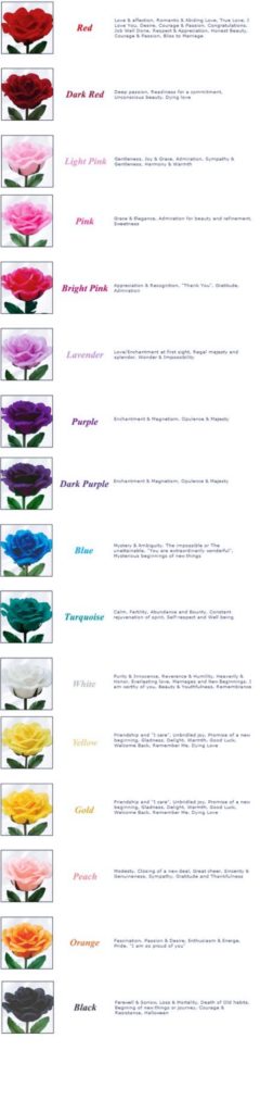 The Real Meaning Of The Different Rose Colors