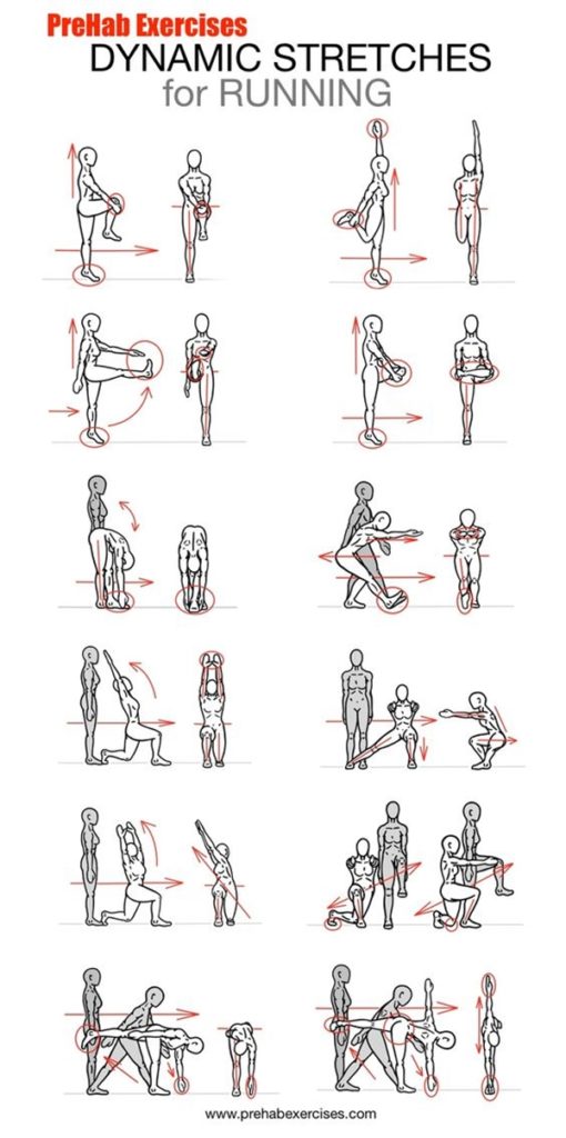 40 Charts of Post Workout Stretches to Prevent Injuries – Bored Art