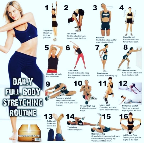 Best Post Workout Stretch Routine At Michael Schiller Blog
