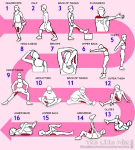 40 Charts of Post Workout Stretches to Prevent Injuries – Bored Art