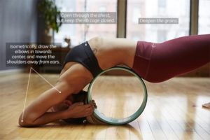 45 Selected Yoga Wheel Exercise Charts to Keep You in Shape – Bored Art