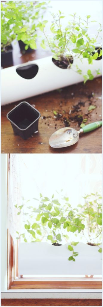 30 Unique PVC Pipe Decoration Ideas – Bored Art