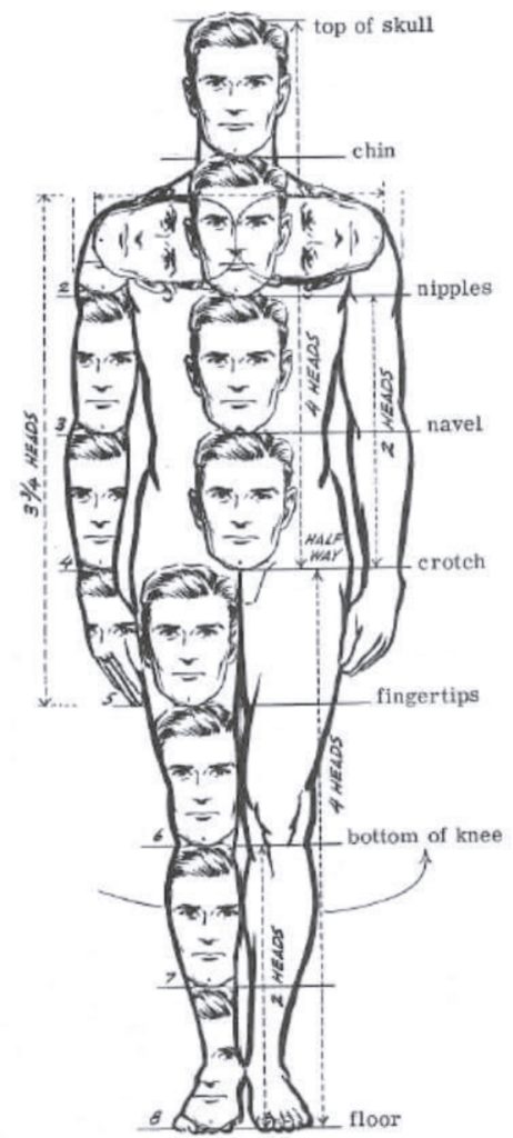 HOW TO DRAW BODY SHAPES 30 Tutorials For Beginners Bored Art HOW TO DRAW BODY SHAPES 30 Tutorials For Beginners Bored Art