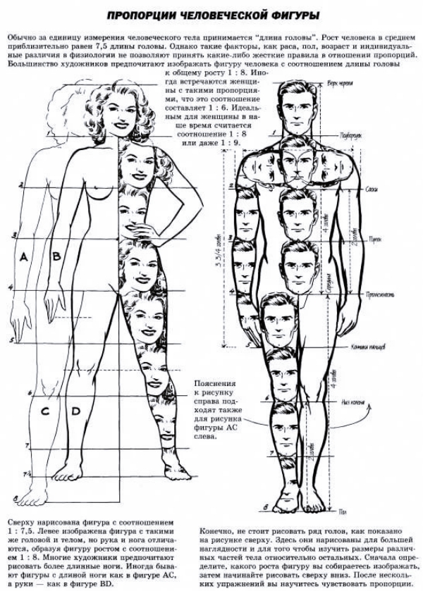HOW TO DRAW BODY SHAPES 30 Tutorials For Beginners Page 2 Of 3 