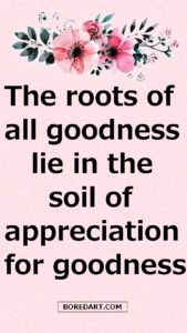 50 Short Vote of Thanks Speech Samples For Seminars 2022 – Bored Art