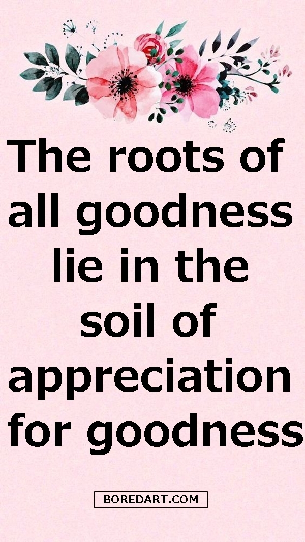 50 Short Vote of Thanks Speech Samples For Seminars 2022 – Bored Art