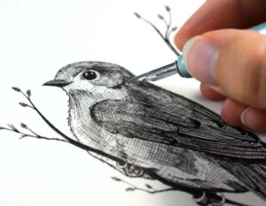 80 Best Examples Of Line Drawing Art
