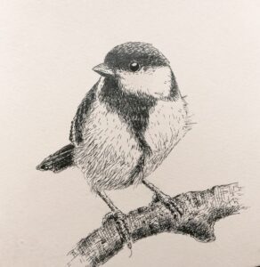 80 Best Examples Of Line Drawing Art